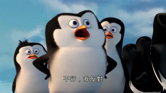 暴走企鹅免费观看图标
