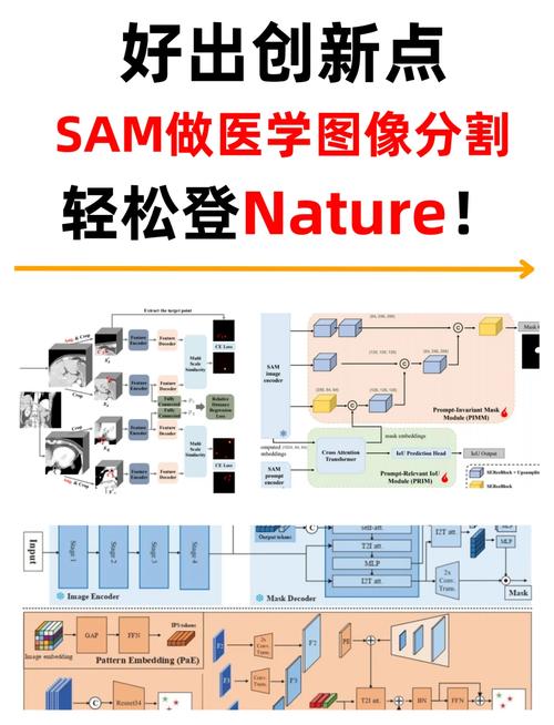 医学EICs图标