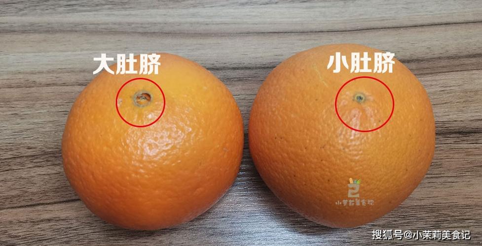 橙子大好还是小好图标