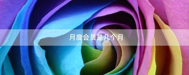月度vip会员是几个月图标