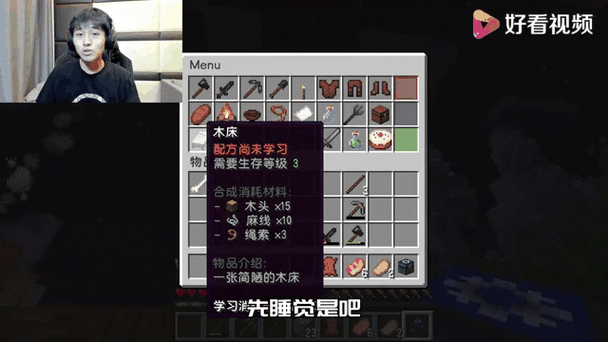 我的世界感染生存图标