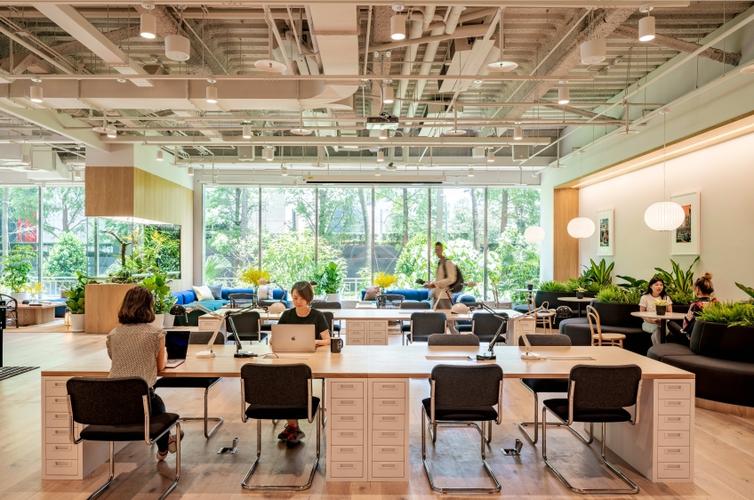 wework中国截图
