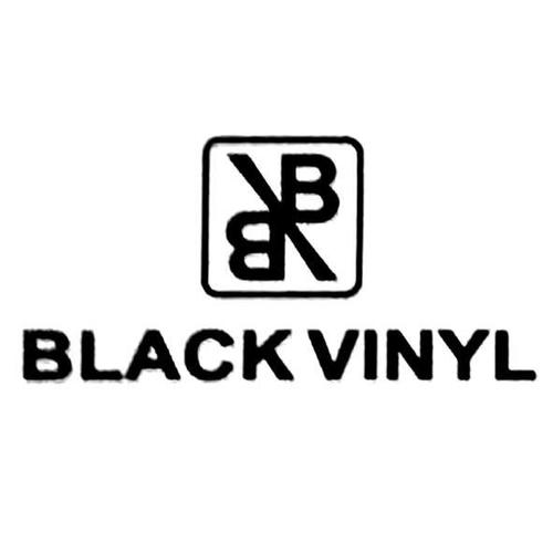 blackvinyl衣服品牌图标