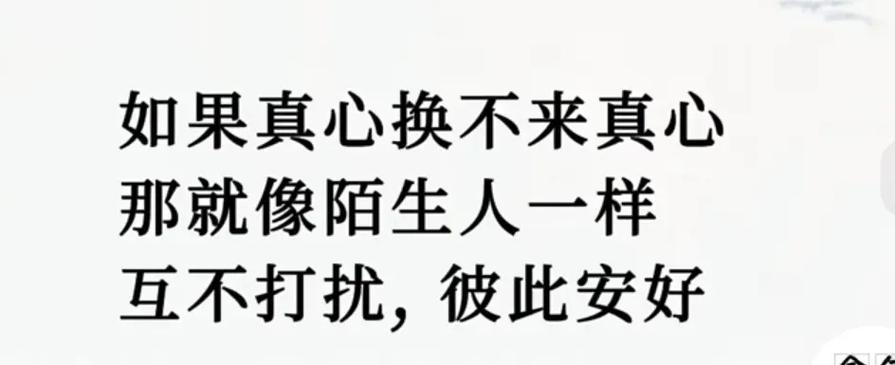 真心换不回真心的经典句子图标