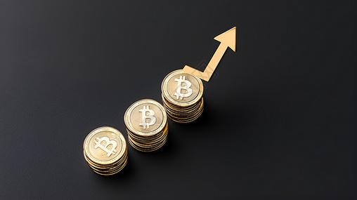 bitbull币图标