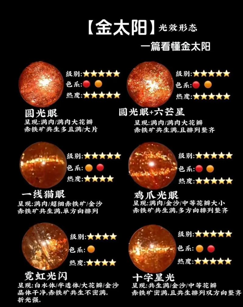 金太阳考试答案哪里有图标