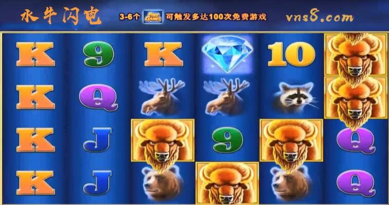 水牛娱乐网图标
