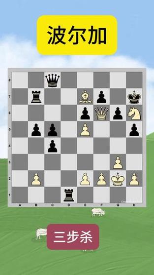 国际象棋三次重复规则