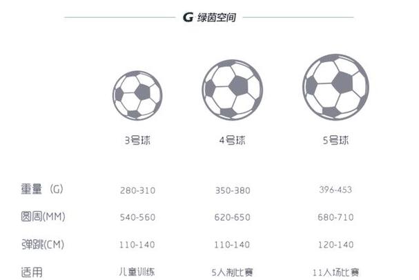 免费足球推荐足球分析图标