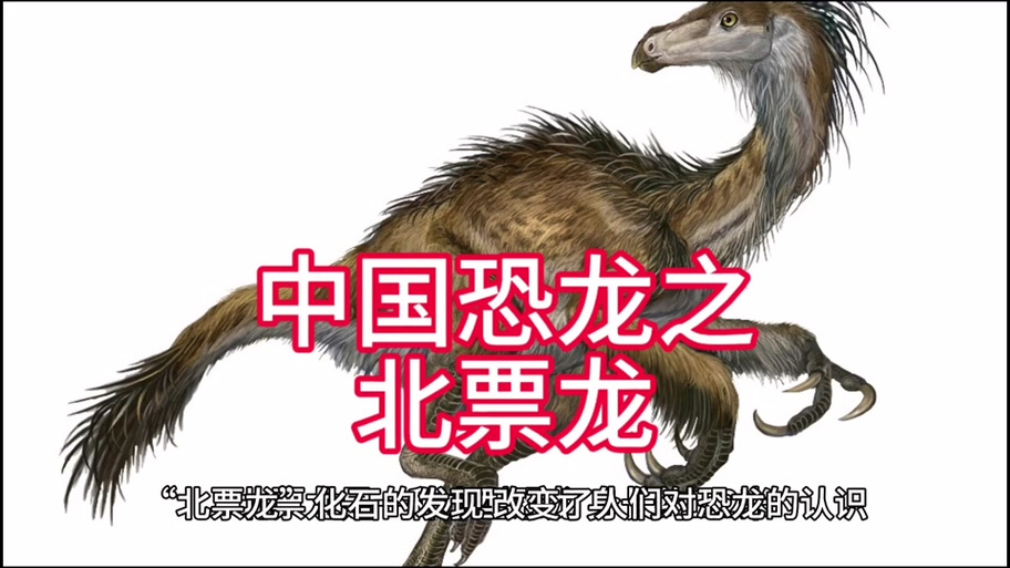 恐龙岛恐龙介绍图标