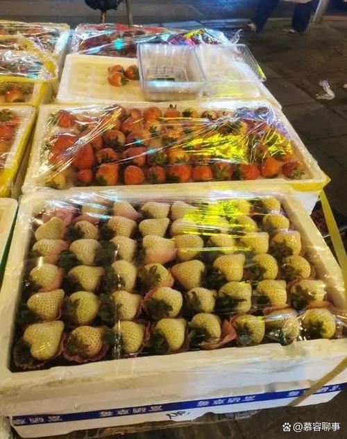 草莓摆摊怎么叫卖图标