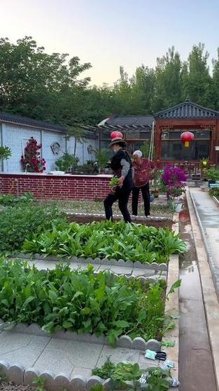菜园子农家小院图标