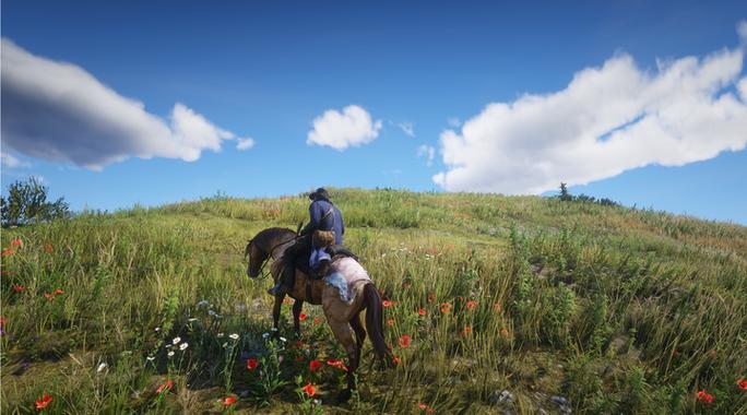 荒野大镖客2pc和ps4画质图标