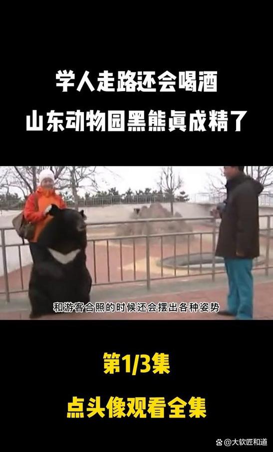 一只成精的熊