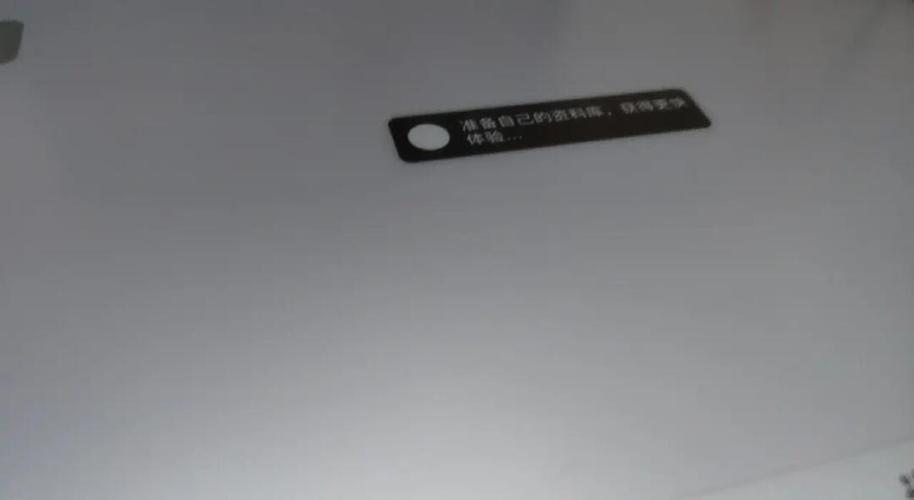 ipad疯狂闪退截图