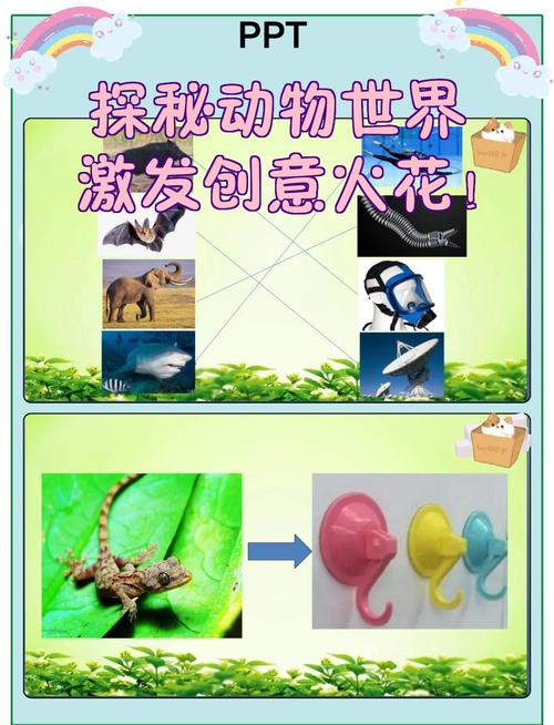 动物套的作用