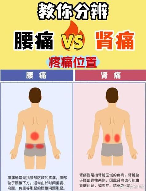 腰右边疼是什么原因?男性