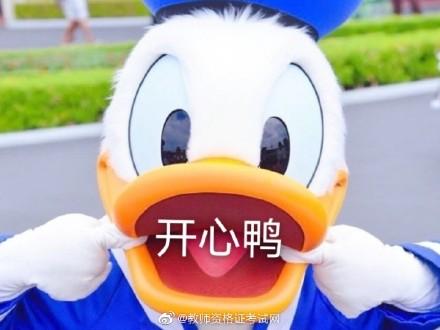 好开心鸭截图