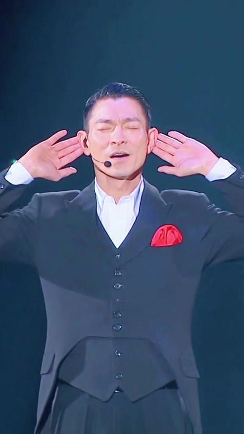 刘德华演唱会高清图标