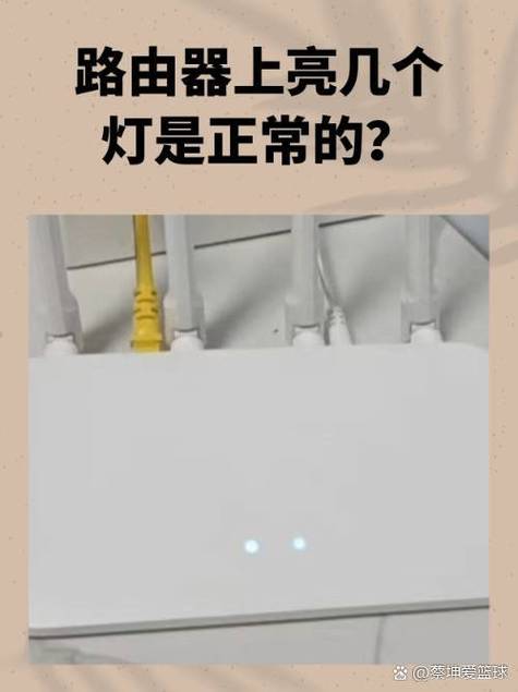 wifi灯正常亮但是不可上网图标