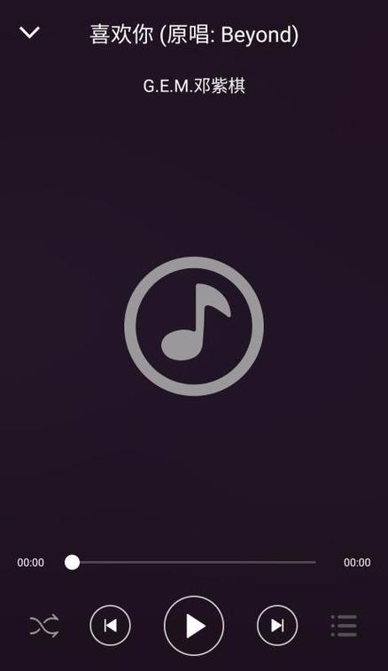 好看的音乐播放器截图