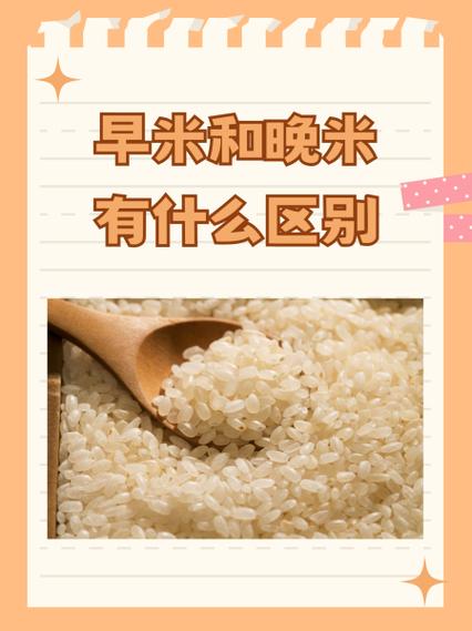 几个米是什么意思