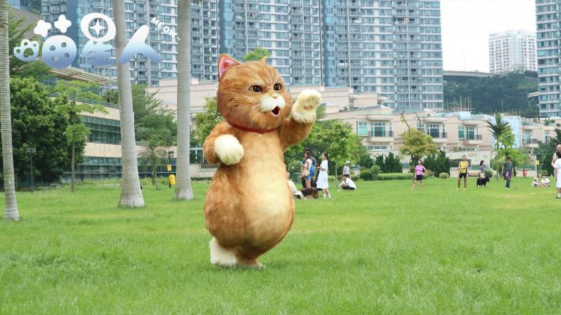 喵星人电影高清完整版资源图标