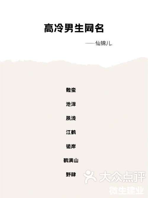 男生网名 霸气 高冷图标