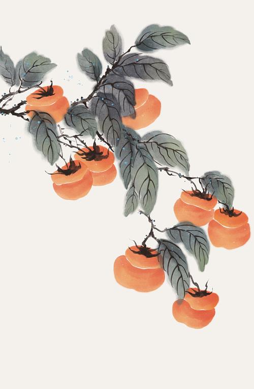 下载《有柿》图标