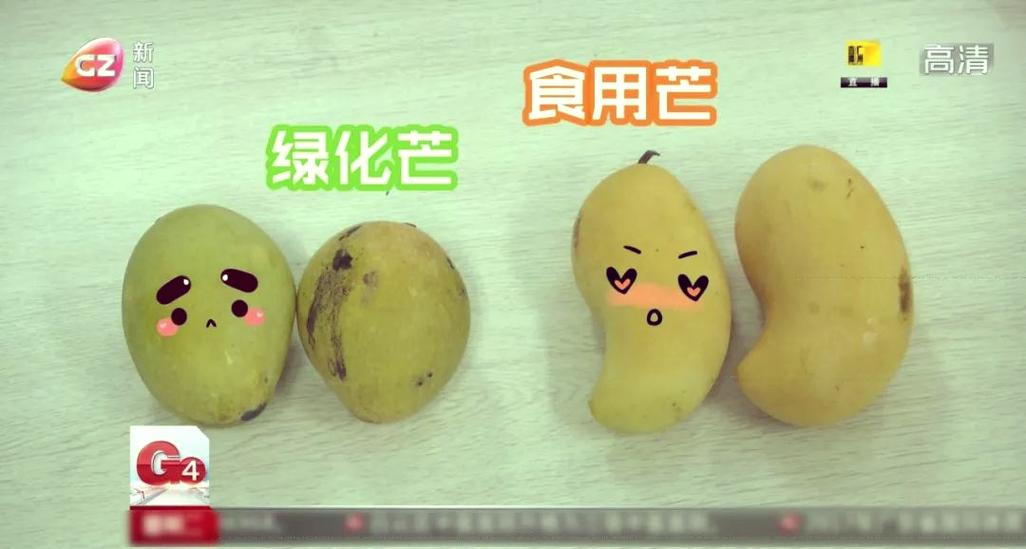 芒果的杧为什么要改缩略图
