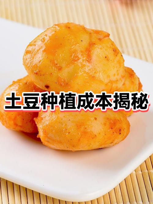 种土豆一亩地投资多少钱图标