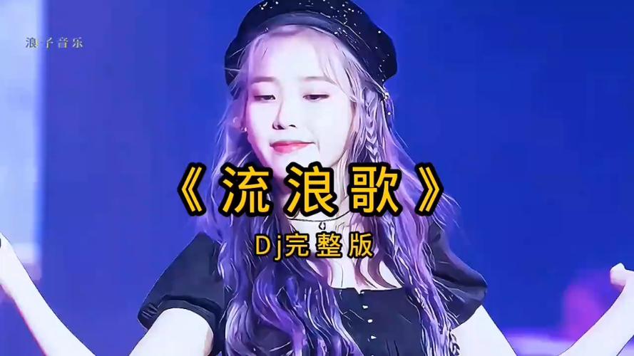流浪歌dj版截图