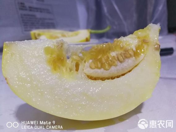 甜瓜35.0版火山下图标