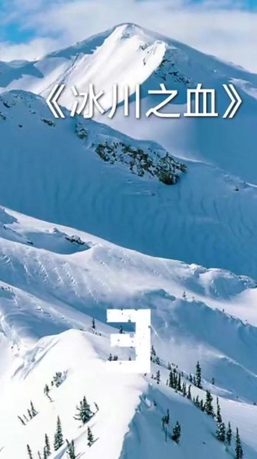 冰川小说app入口图标