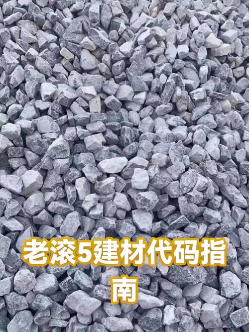 老滚五买哪个版本图标