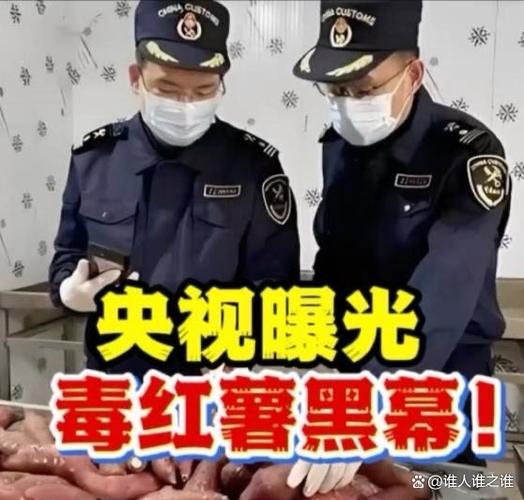 谁是削皮贼图标
