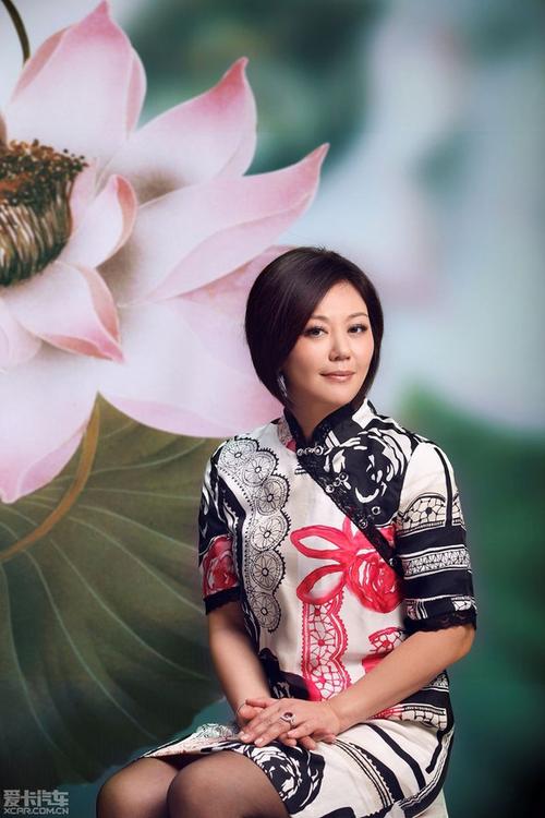 中央台著名主持人图标