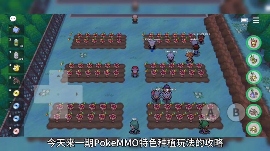 pokemmo果农哪种果最赚钱截图