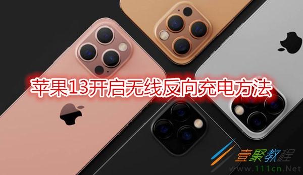 苹果13有无线反向充电吗图标