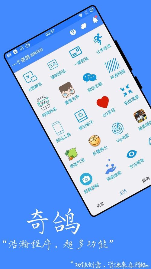 一只奇鸽船软件下载图标