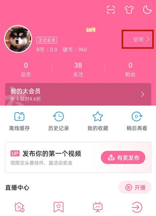 哔哩哔哩轻量版在哪里找图标