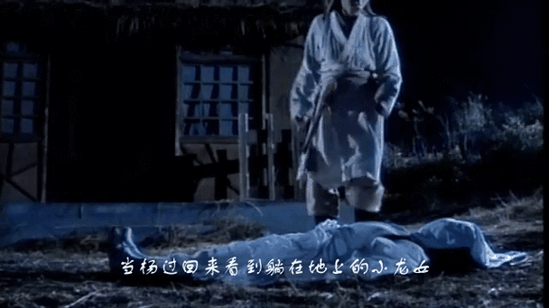 神雕腥传小龙女和镖头截图