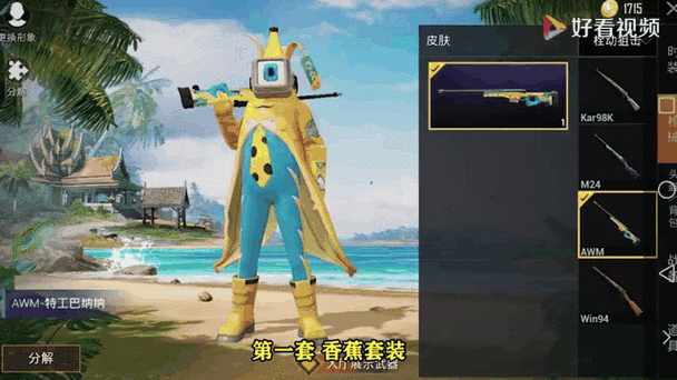 吃鸡最稀有的衣服截图