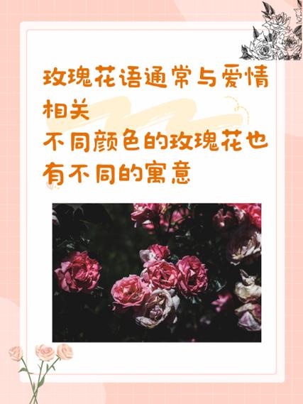 1到100朵玫瑰花语图标