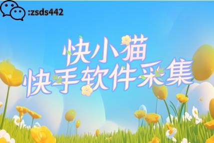 抓猫软件截图