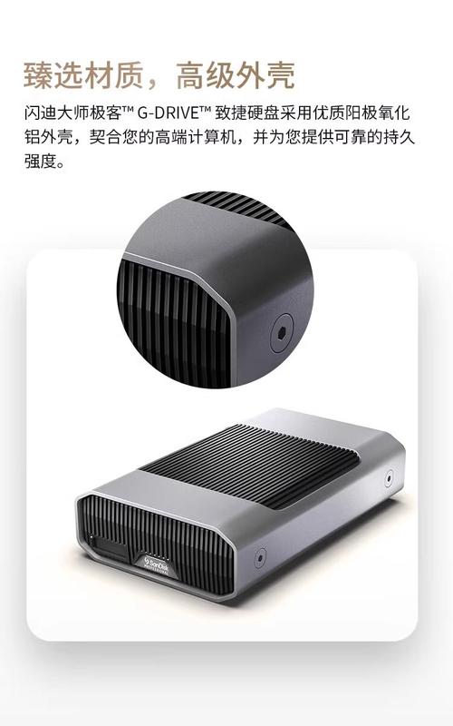 极客大师