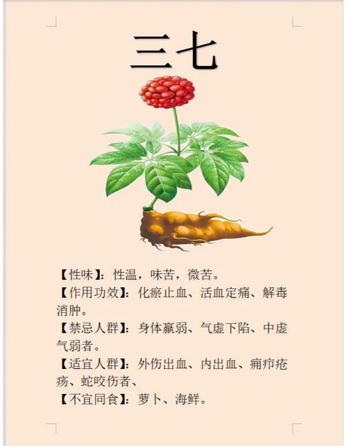 加奈子三七攻略详细步骤详解截图