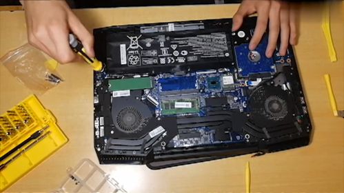 暗影精灵4后盖怎么拆图标