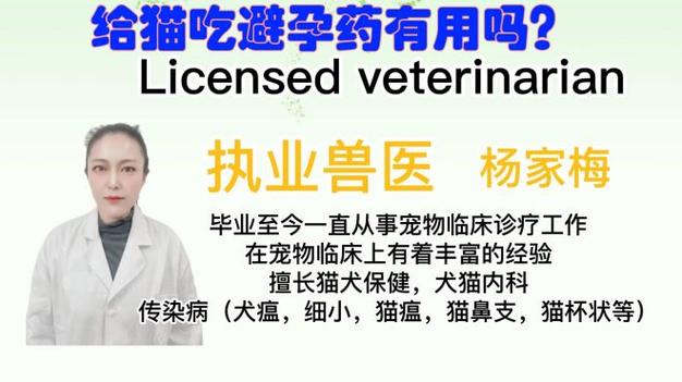 母猫专用避孕药图标