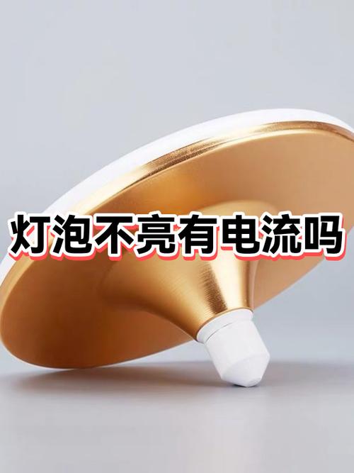 有电流但是灯泡不亮截图